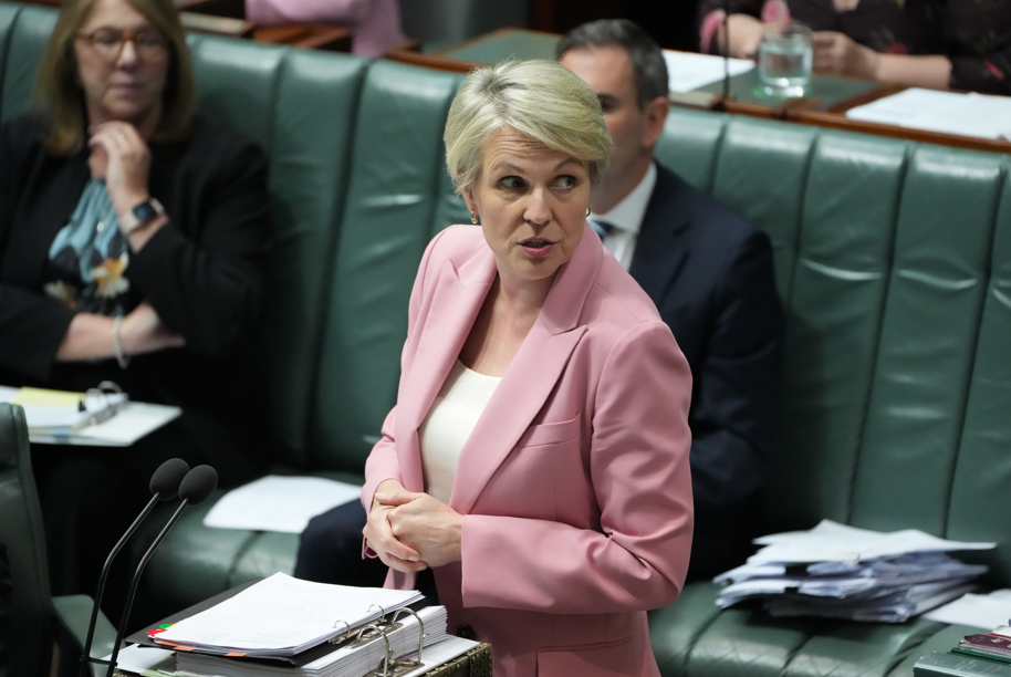 Lidia Thorpe says 'I don't give a damn' as she rips up Senate censure ...