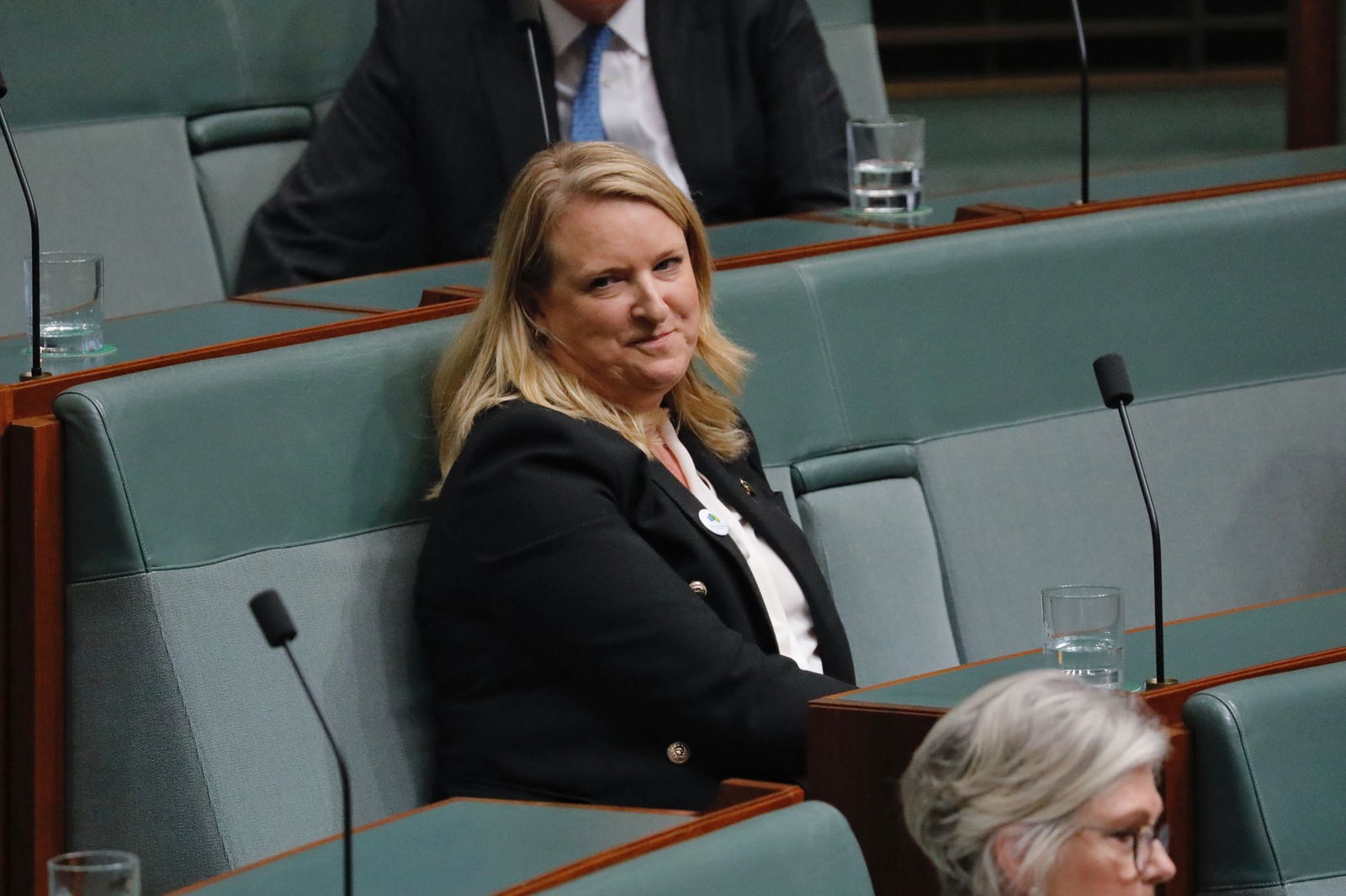 Independent Zoe Daniel likens major parties to the 'Coles and Woolies ...