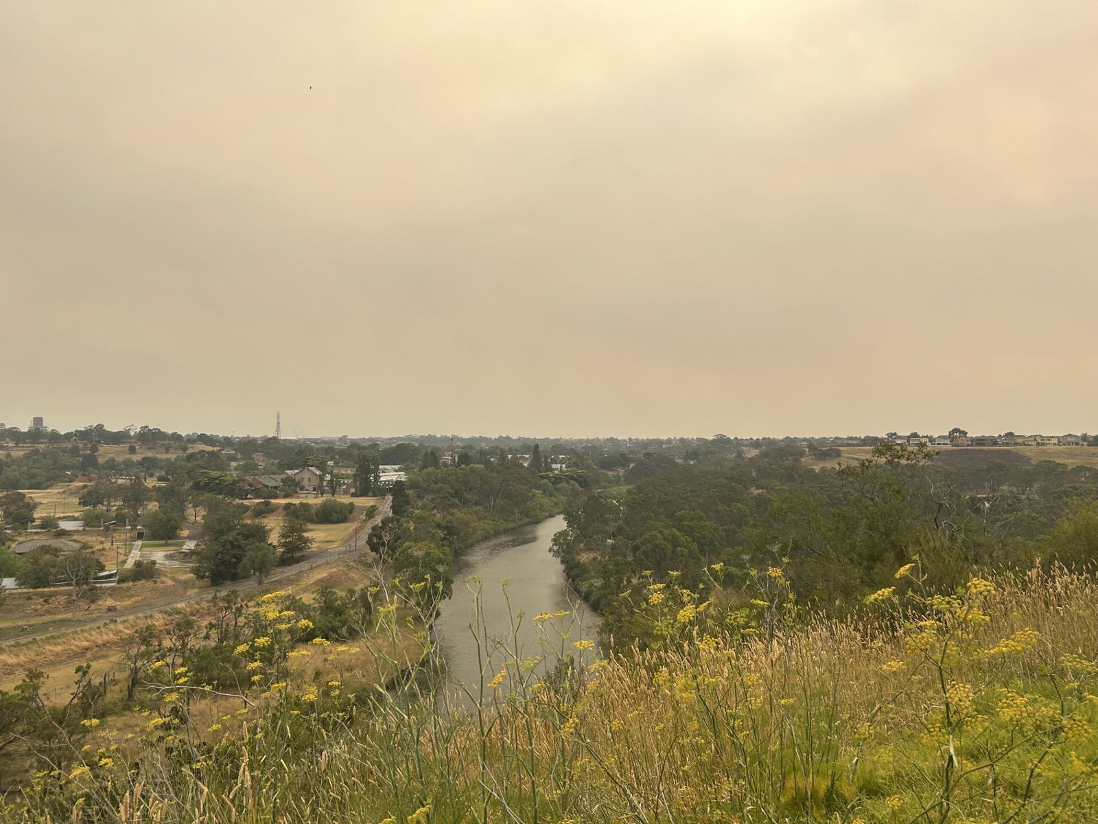 Australian heatwave live: Firefighters battling multiple out-of-control ...