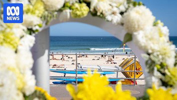 Bondi royal commission hearing: ASIO boss says foreign interference ...